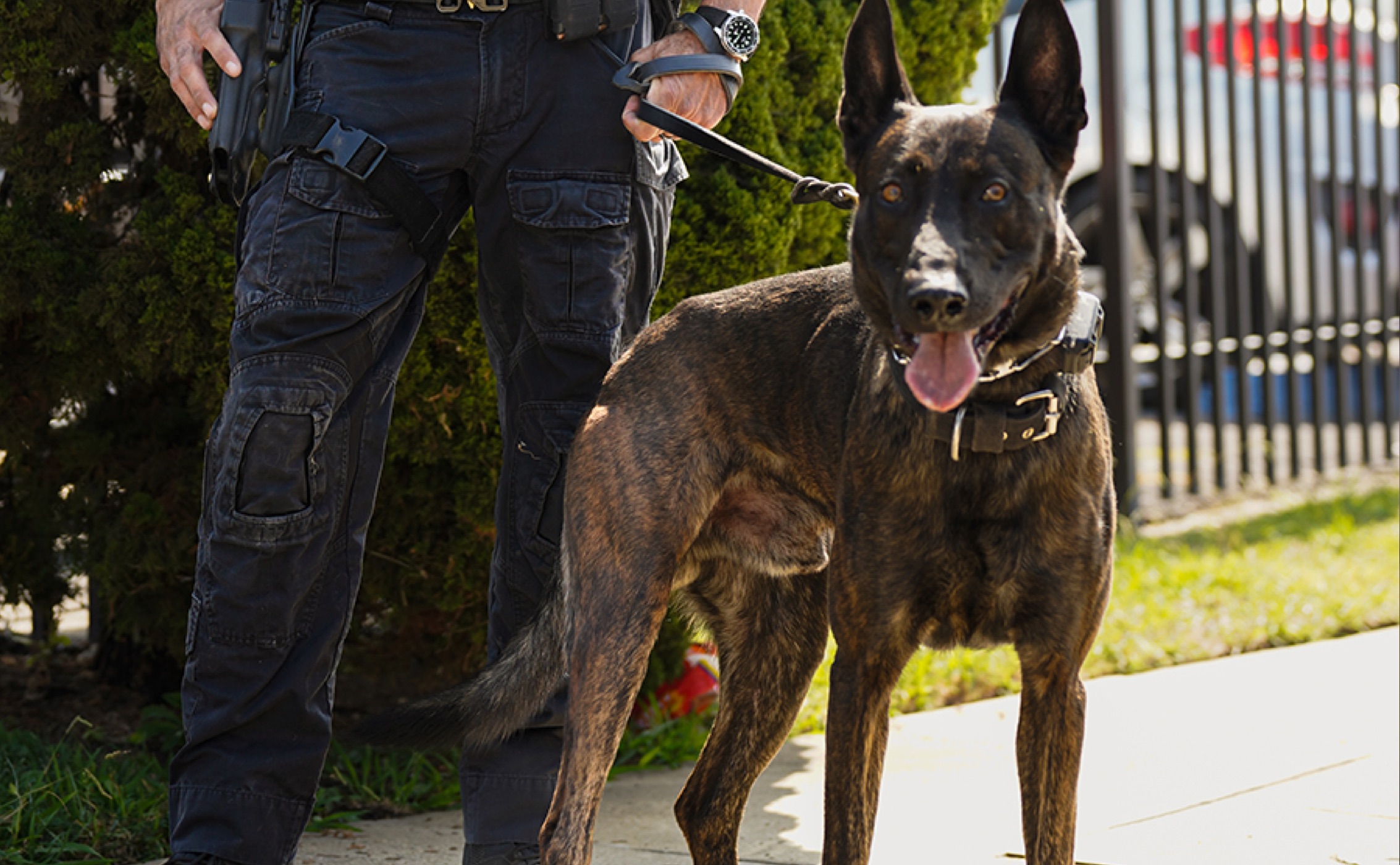 LAPD | Unrivaled Since 1869